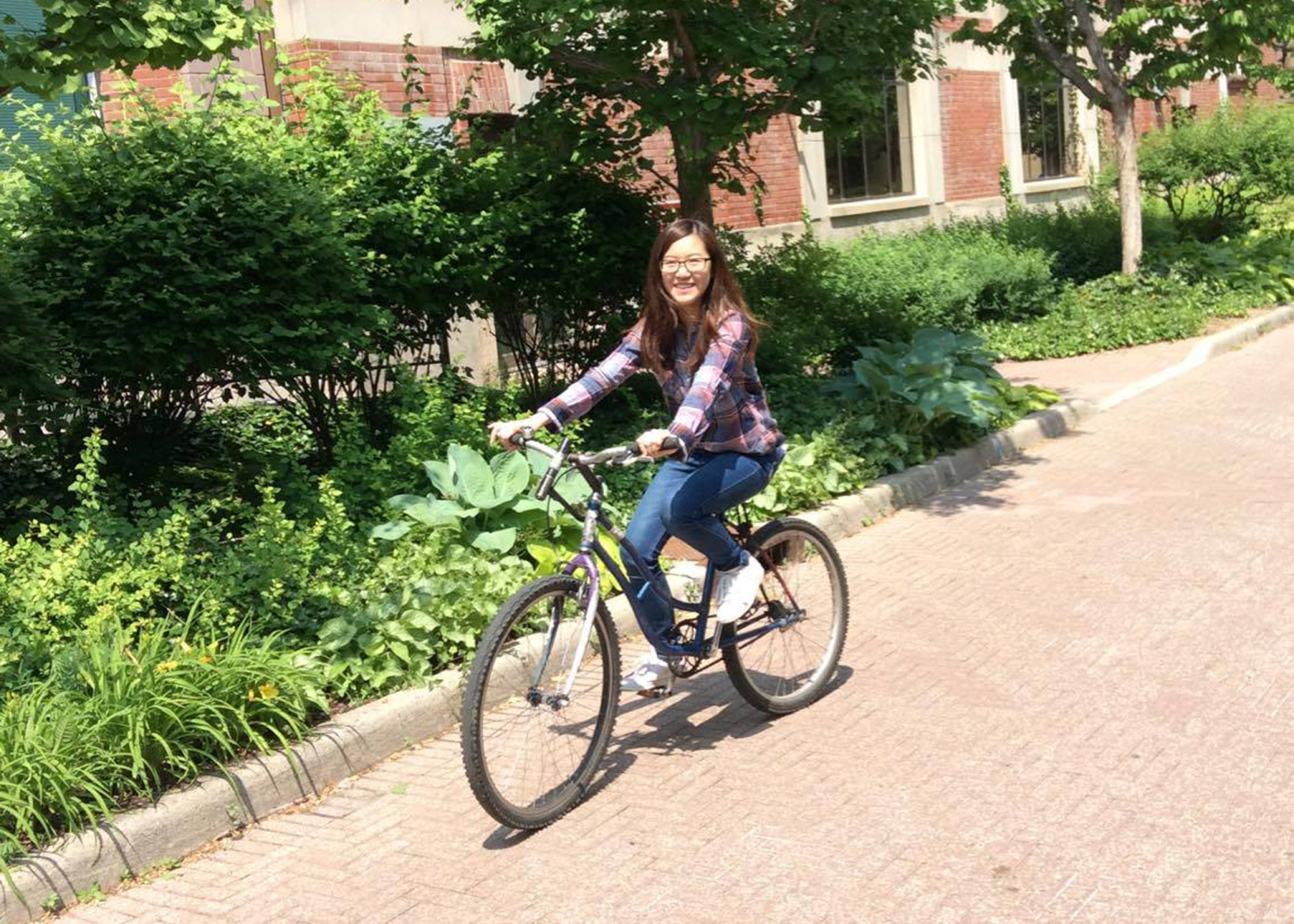 Bike Rentals – Bikechain